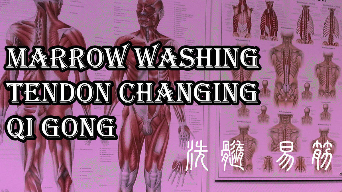 The Truth of Marrow Washing and Tendon Changing Qi Gong | Tin Yat ...